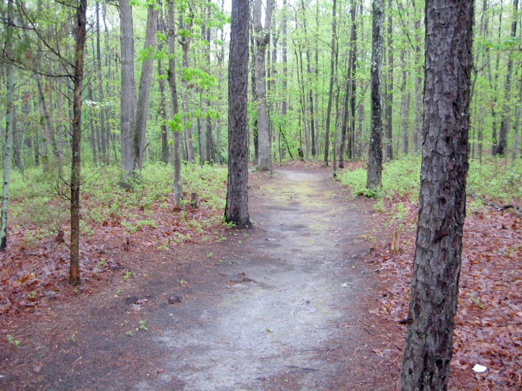 Monument to Where A.P. Hill Was Killed near Petersburg, Virginia